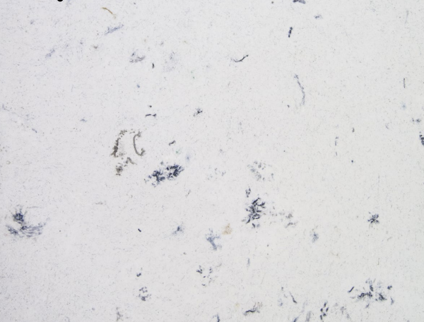 TEXTIL COLLECTION - Cement Design