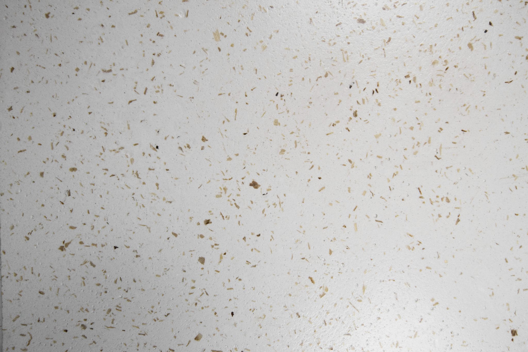 NATURE - Cement Design